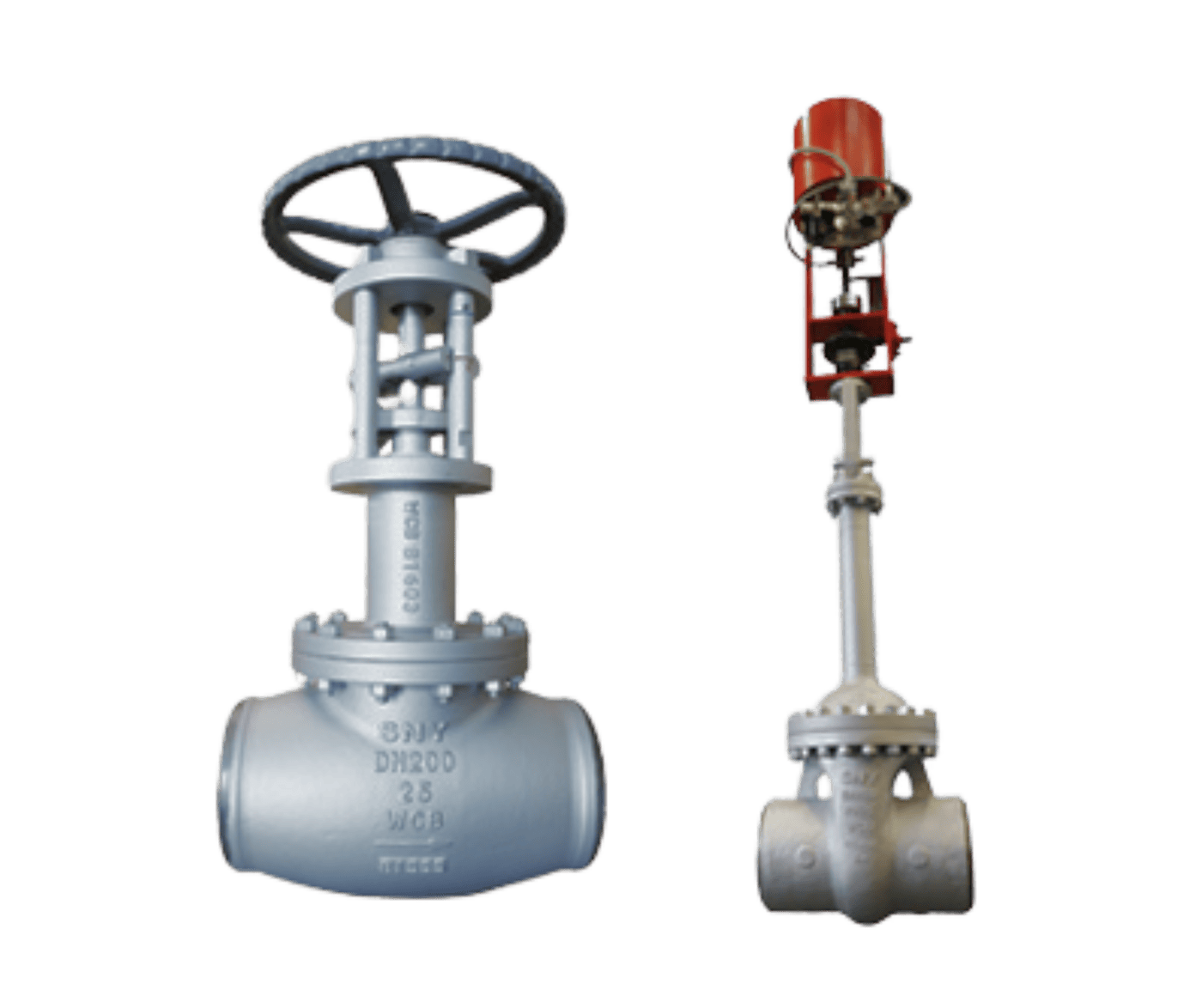 Bellows Sealed Valve